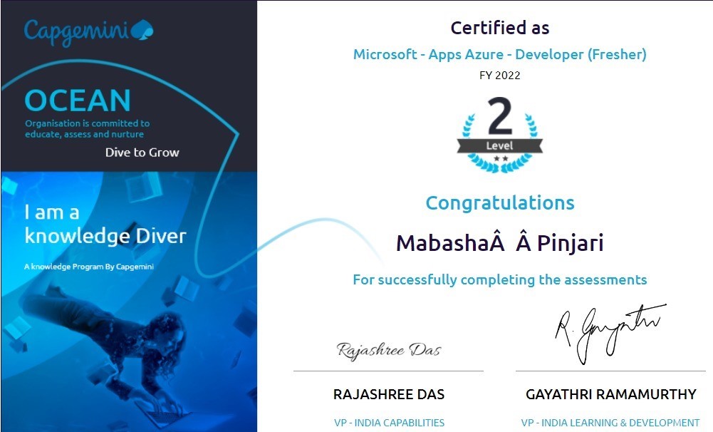 Mabasha Pinjari - Portfolio